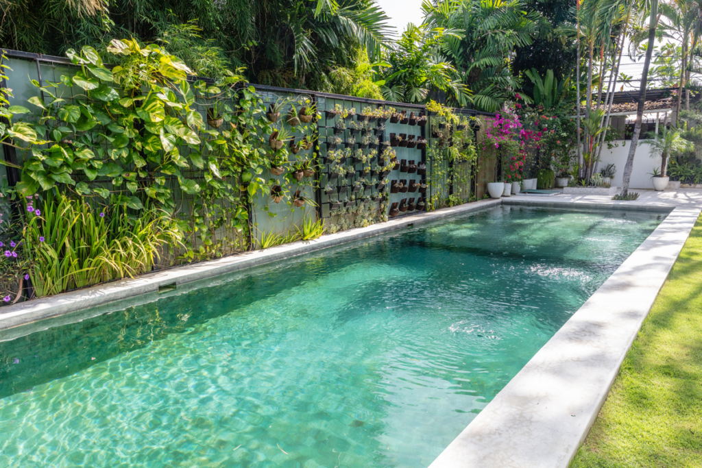 Plants Around Swimming Pool